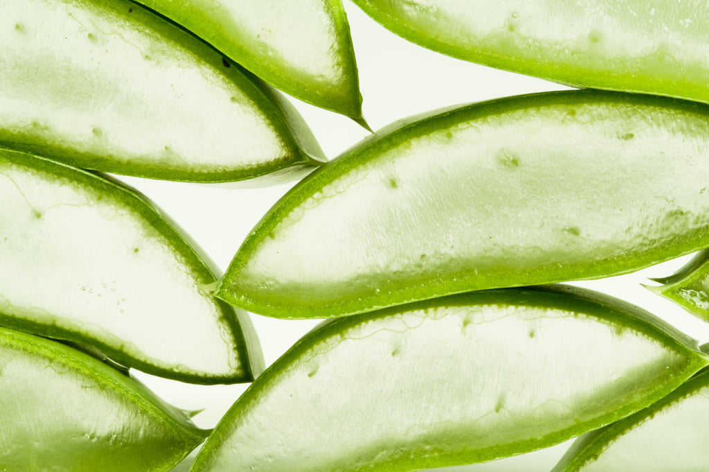 AltMed Labs – altmedlabs-com